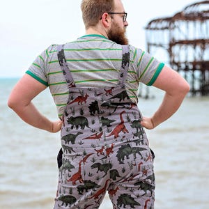 Run & Fly, Dungarees, Dinosaur Print, Grey, Unisex, Overalls, Festivals ...