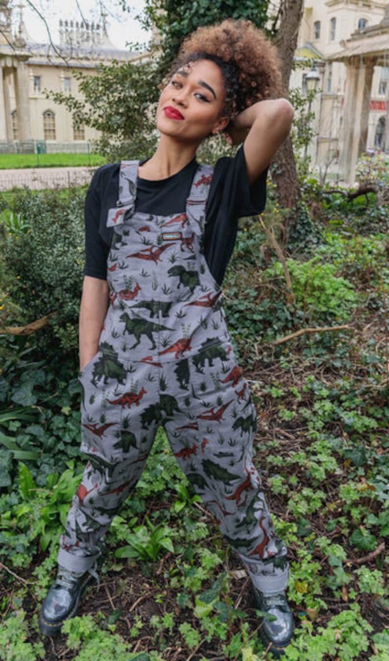 Run & Fly Dungarees Dinosaur Print Grey Unisex Overalls - Etsy