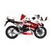 CFMOTO 250SR / 300SR M Performance Carbon Look Design Graphic Kit Decal ...