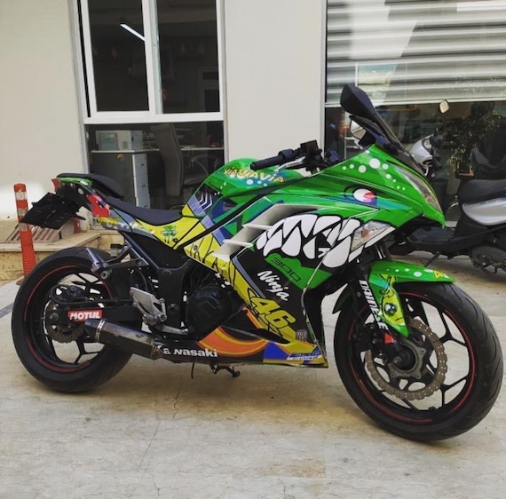 Ninja 300 Custom