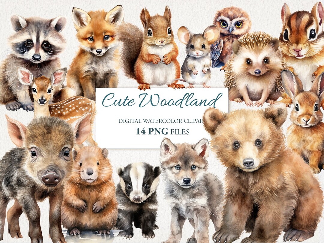 Woodland Cute Animals Cartoon Watercolor Clipart PNG Bundle. Children ...