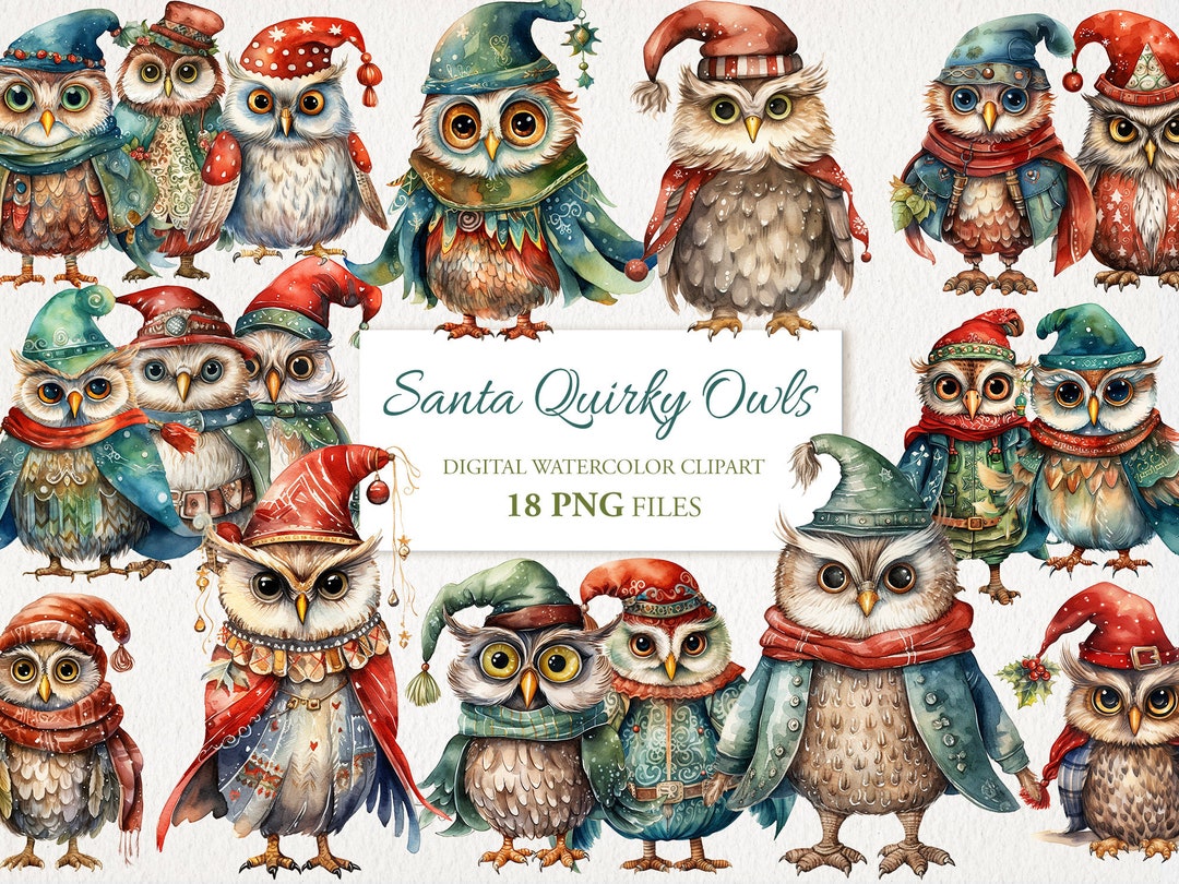 Quirky Christmas Santa Owls Cartoon Watercolor Clipart PNG Bundl. AI ...