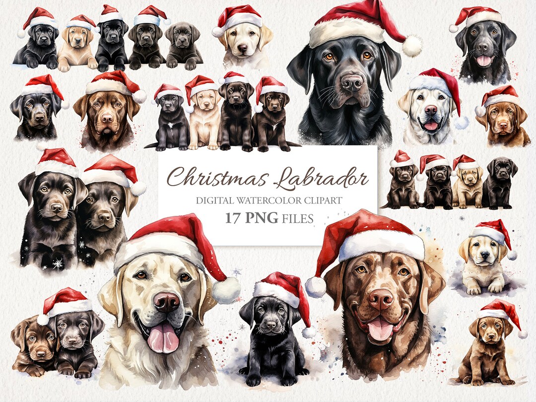Christmas Labrador Dog Santa Hat Watercolor Clipart PNG Bundle. Black ...