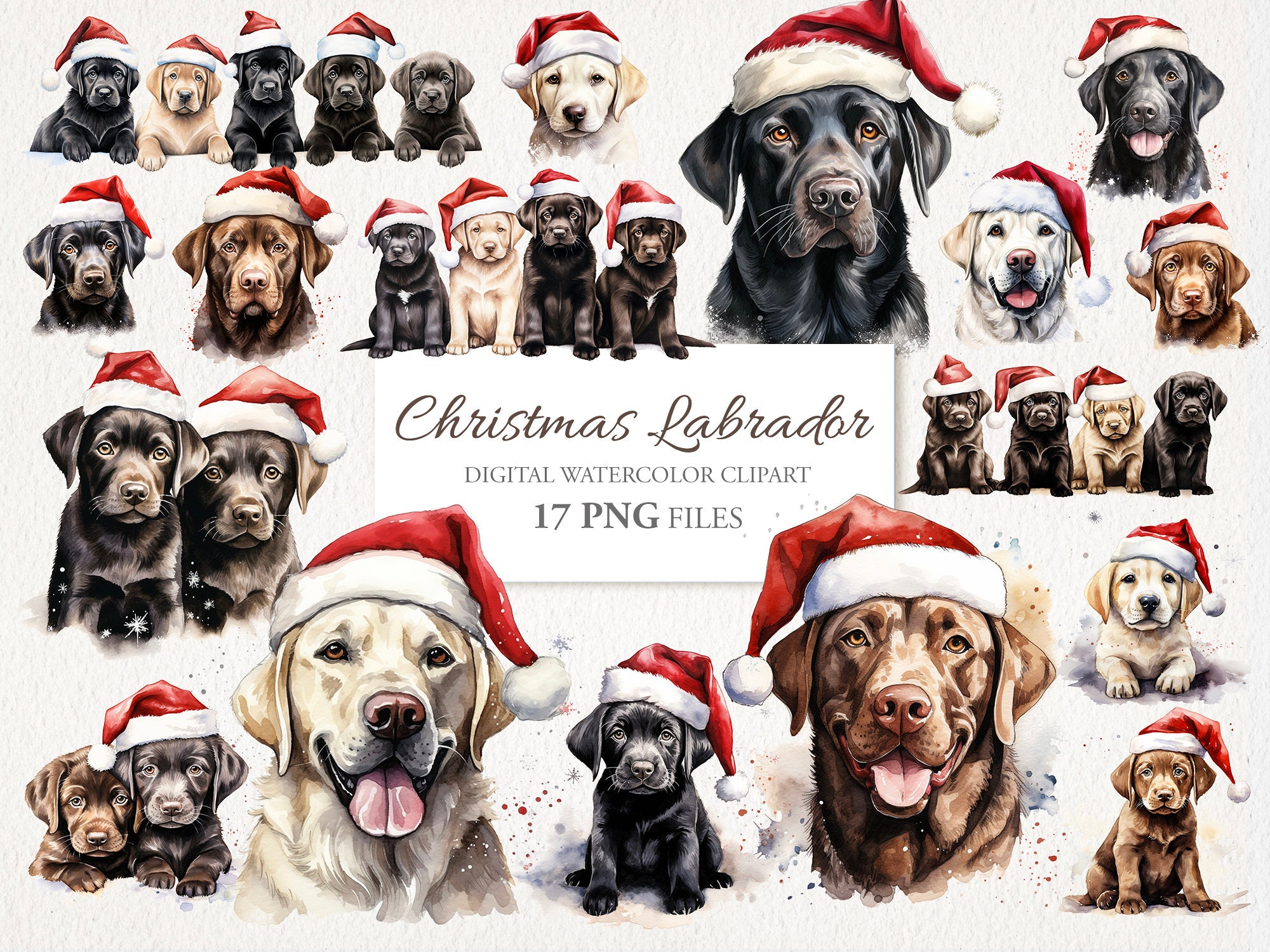 Christmas Labrador Dog Santa Hat Watercolor Clipart PNG Bundle. Black ...