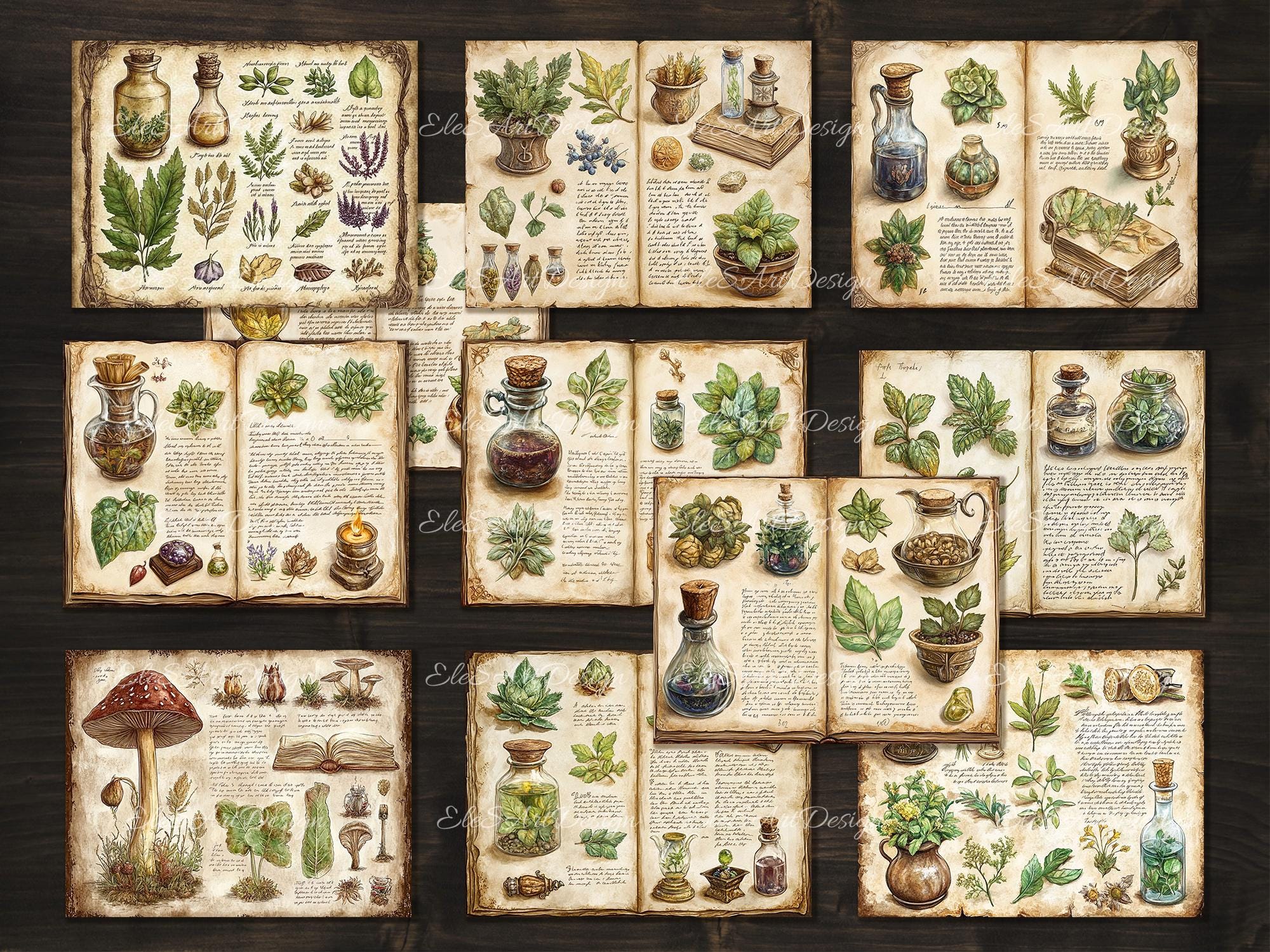 Botanical Plants Herbs Vintage Charts Junk Journal. Magic Witchcraft ...