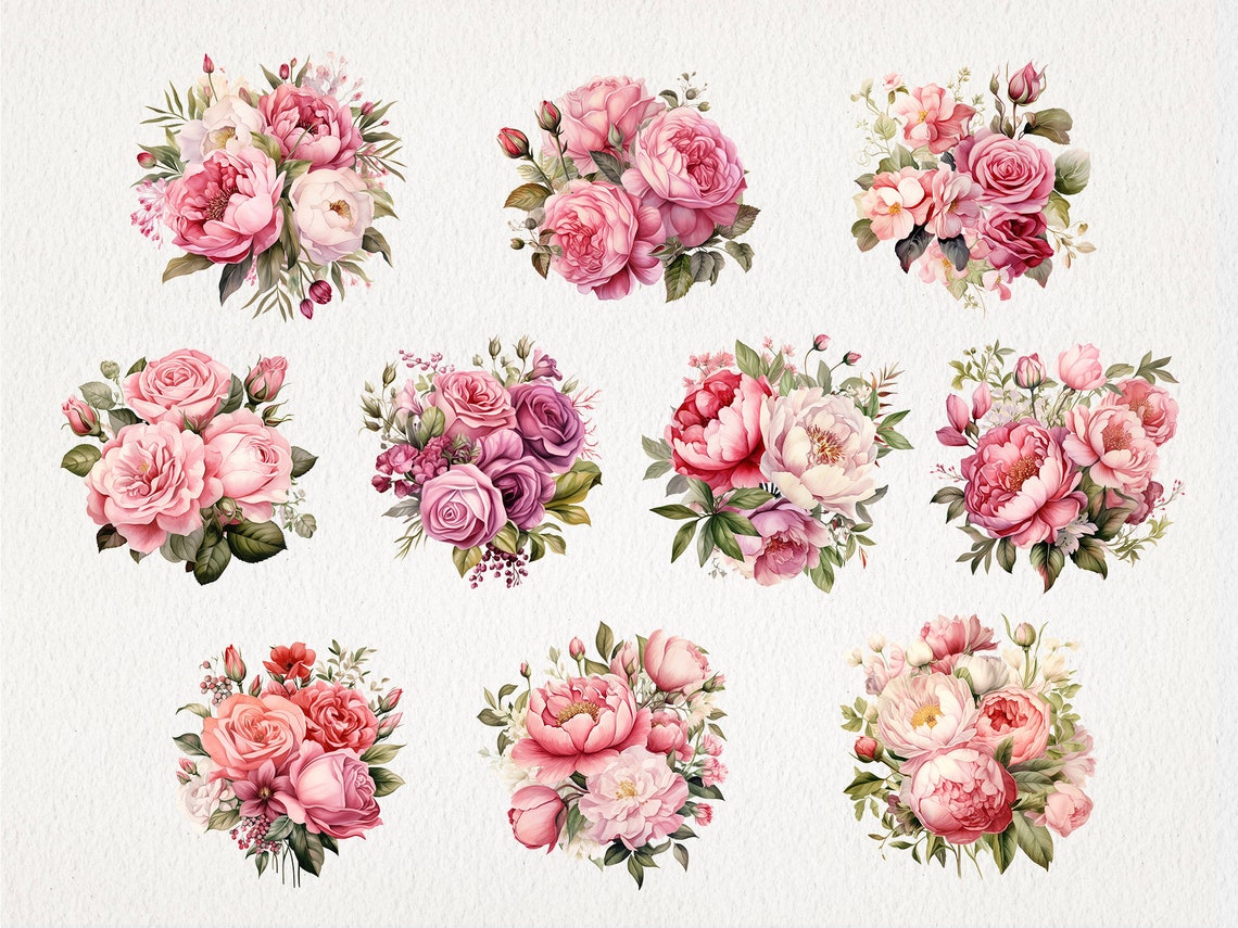 Pink Rose Peony Bouquet Watercolor Clipart PNG Bundle. Vintage Shabby ...