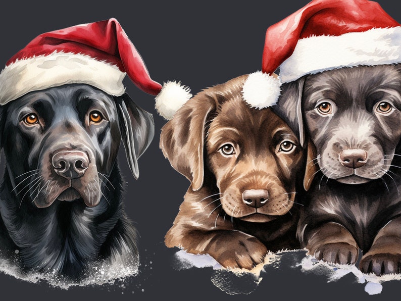 Christmas Labrador Dog Santa Hat Watercolor Clipart PNG Bundle. Black ...