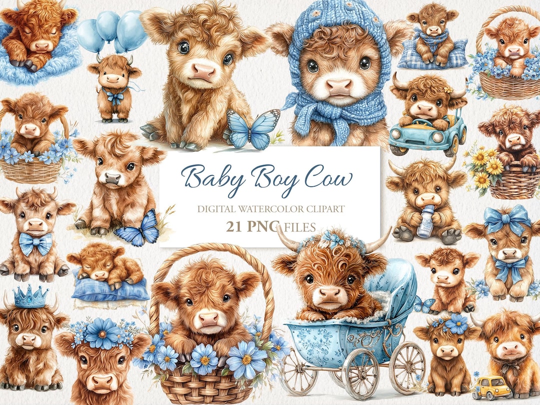 Baby Boy Highland Cow Watercolor Clipart PNG Bundle. Newborn Children ...
