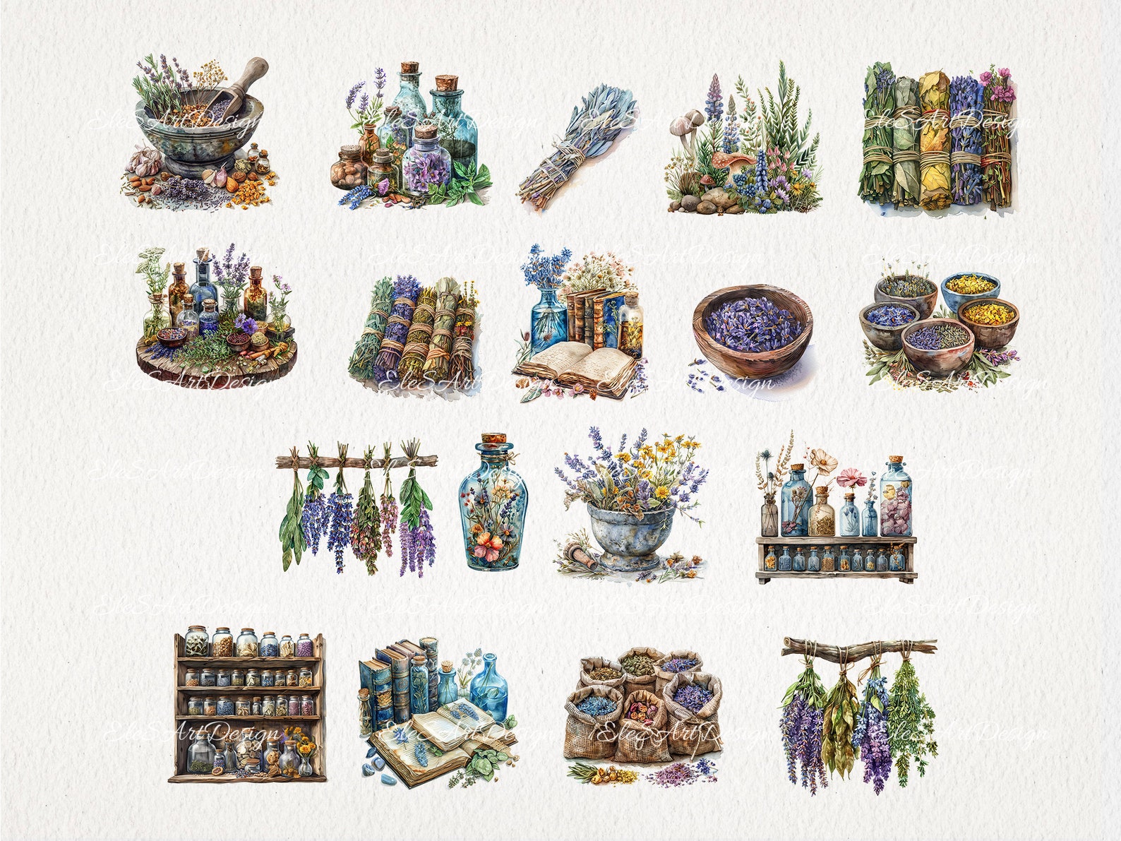 Dried Herbs Watercolor Clipart PNG Bundle. Herbal Green Magic. AI ...