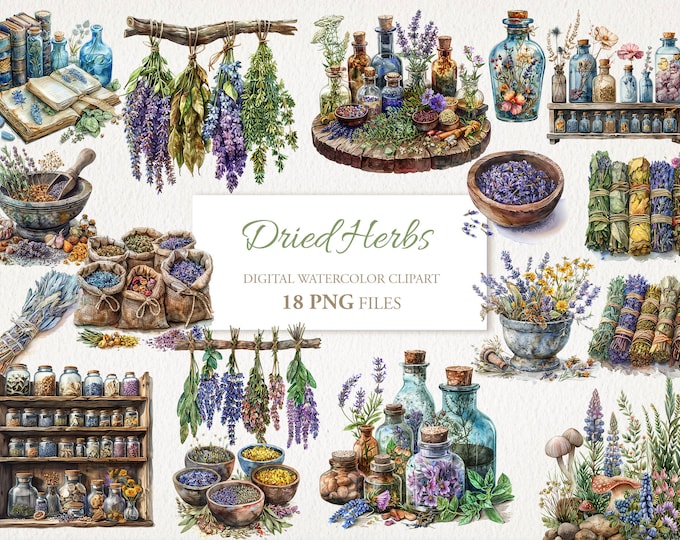 Magic Herbs Plants Clipart Herbal Art Medicinal Green Witch Junk ...