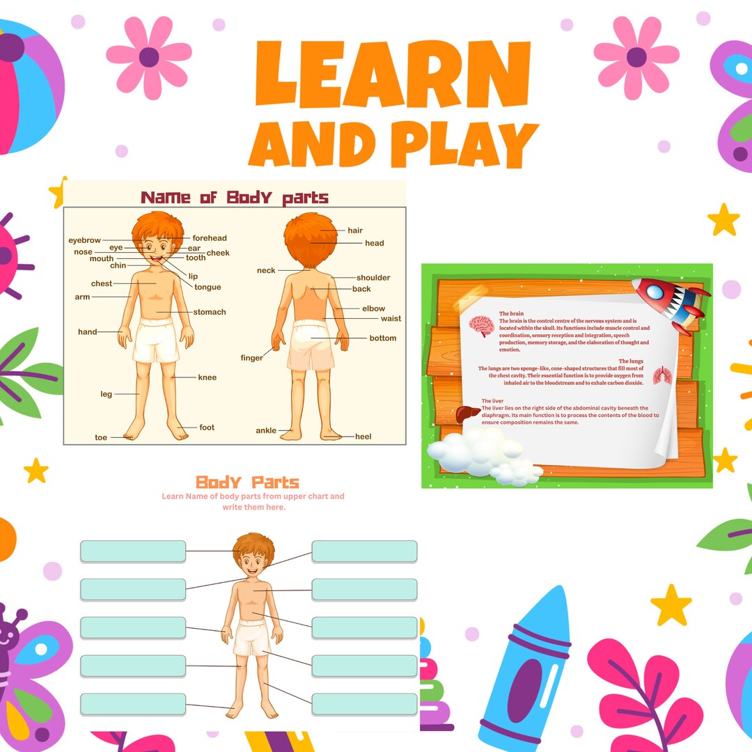 Body Parts Learning, Toddler Activities, Preschool Learning ...