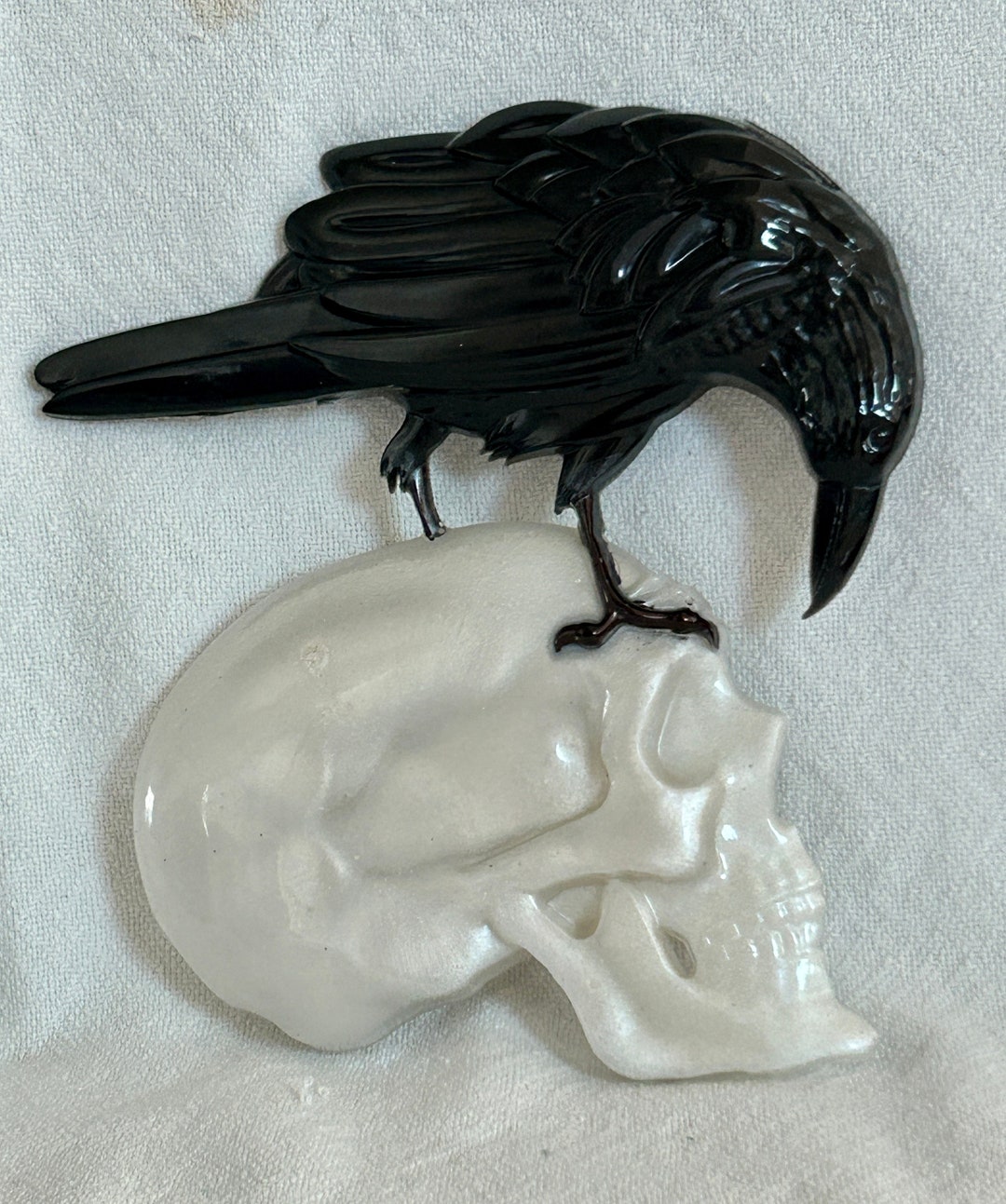 Quoth the Raven, “nevermore.” Raven Standing on a Skull. Halloween ...