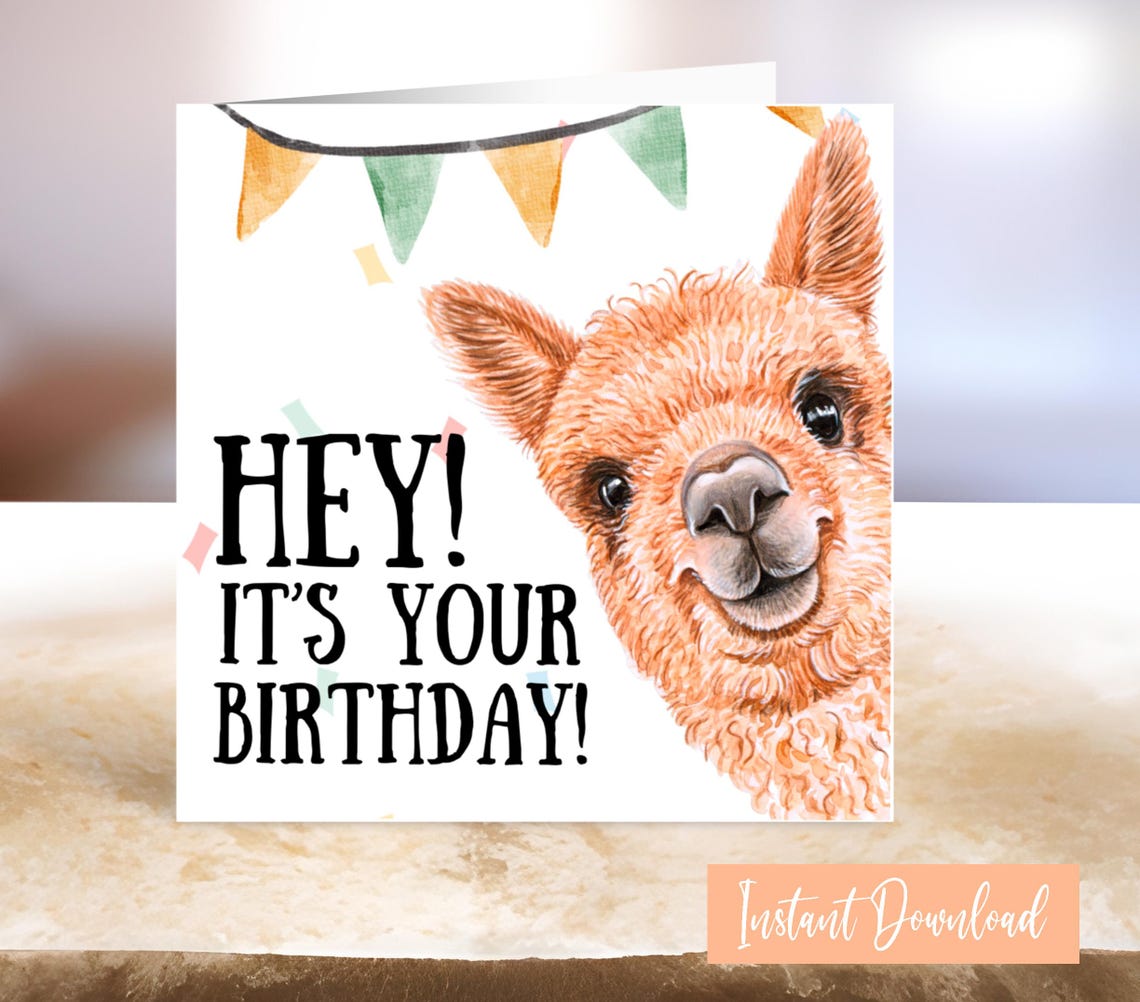 Llama Birthday Card, Printable Alpaca Greeting Card, Humorous Animal ...