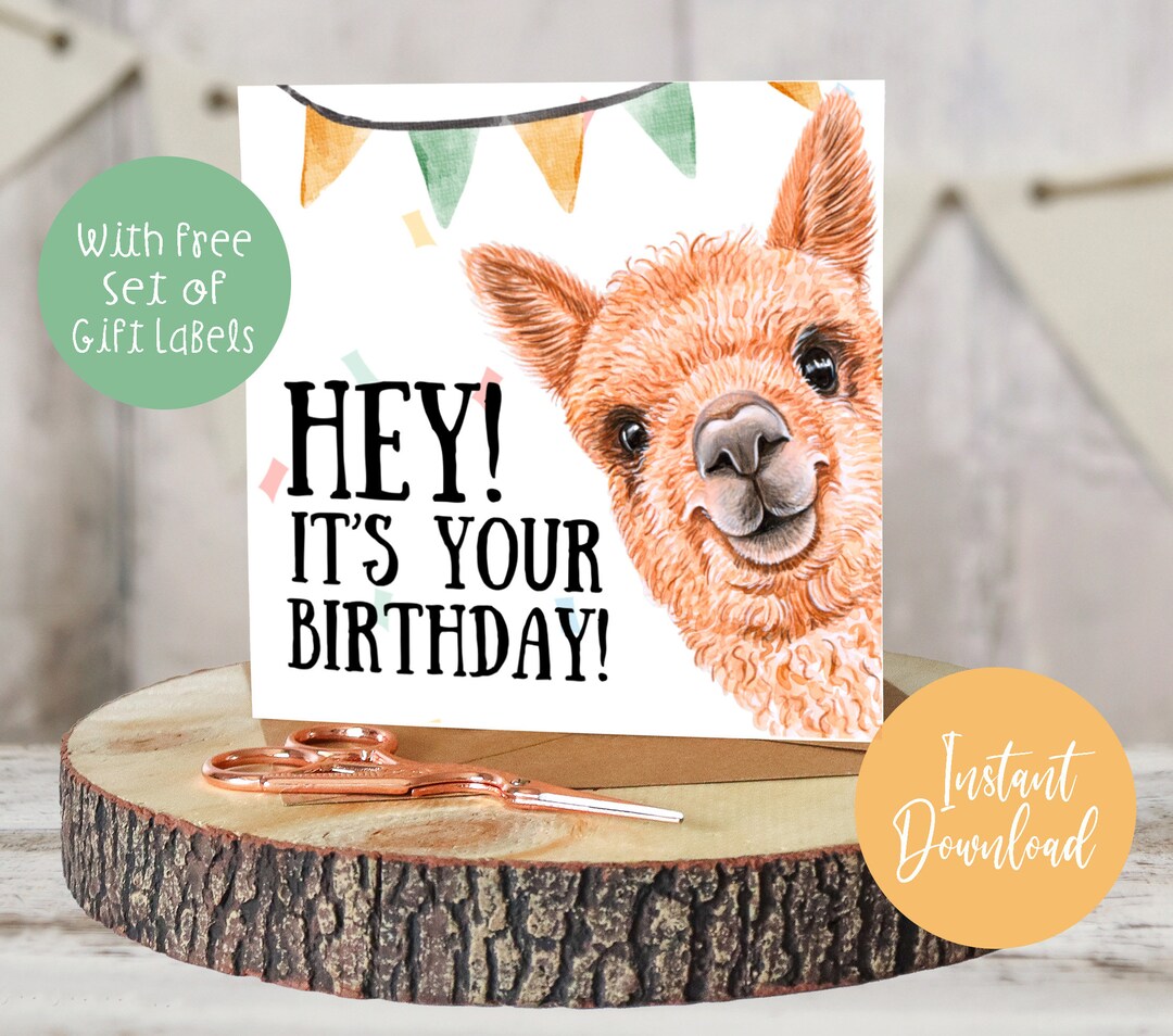 Printable Alpaca Birthday Card Alpaca Greeting Card Cartoon Llama ...