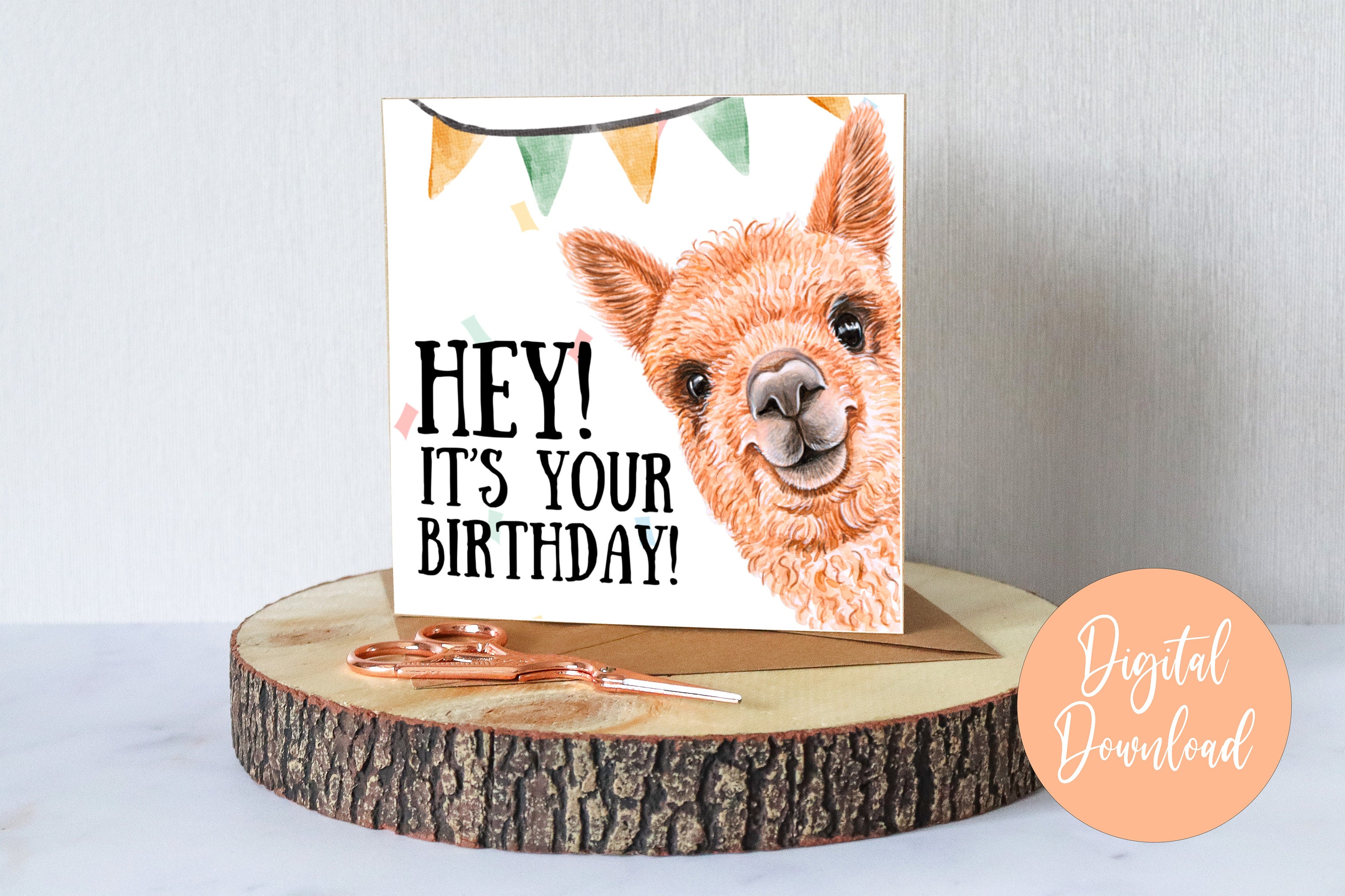 Llama Birthday Card Printable Alpaca Greeting Card Humorous - Etsy UK