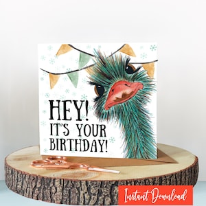 Funny Emu Birthday Card, Printable Ostrich Celebration Card, Humorous ...