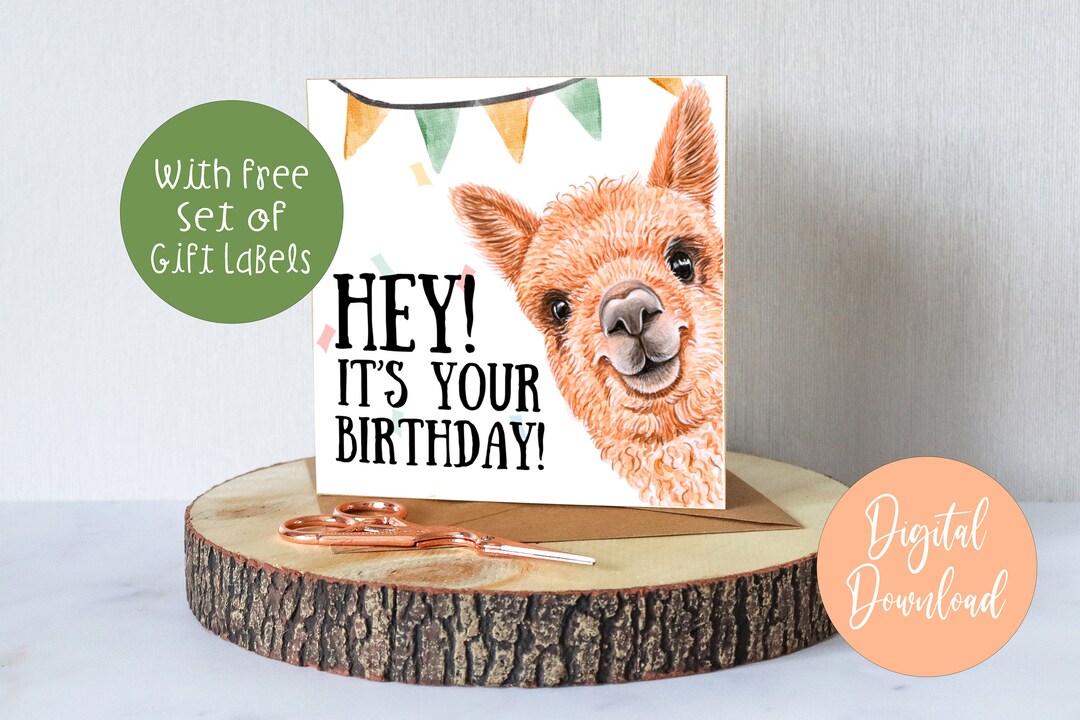 Llama Birthday Card, Printable Alpaca Greeting Card, Humorous Animal ...