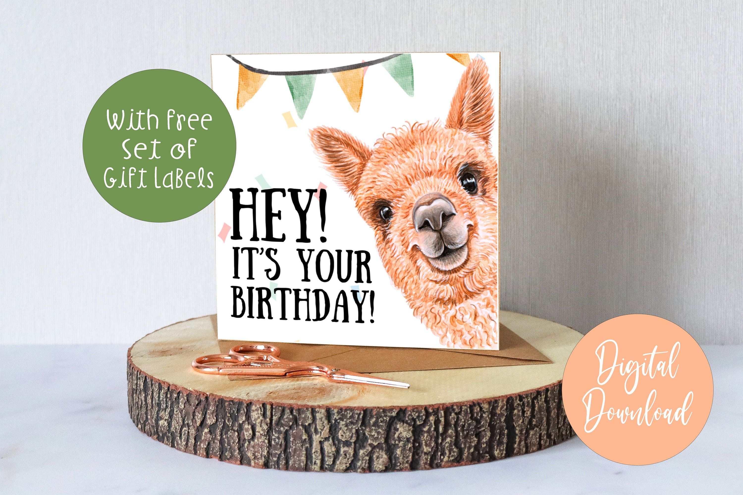 Llama Birthday Card, Printable Alpaca Greeting Card, Humorous Animal ...
