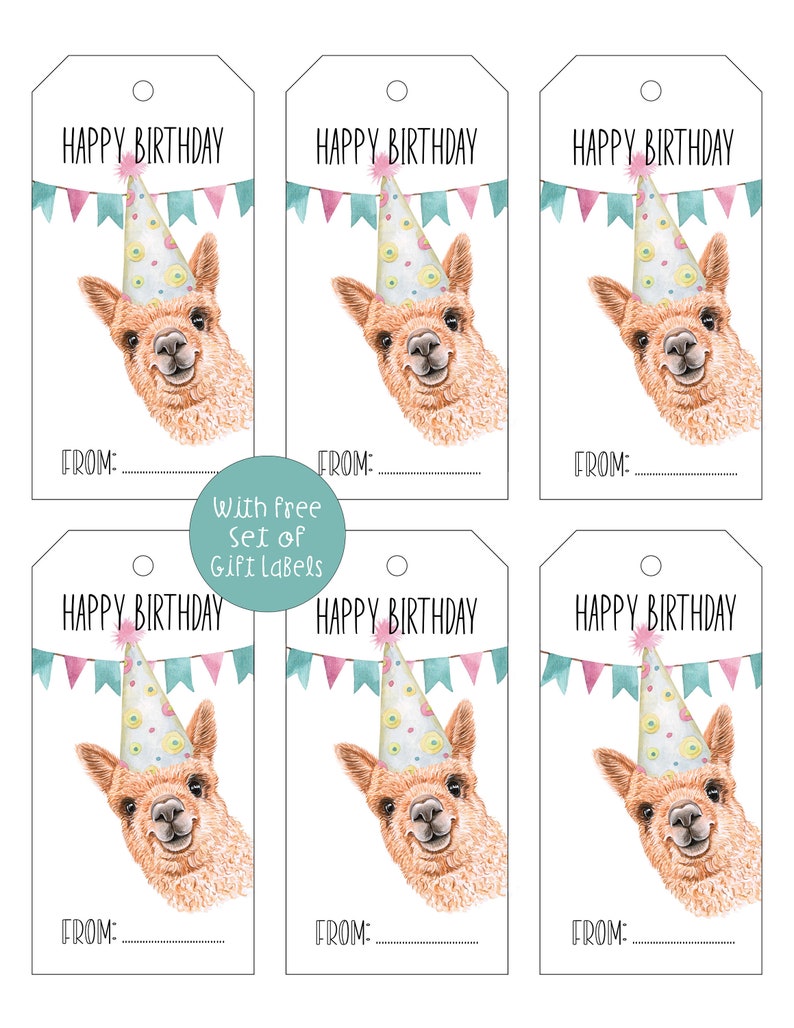 Llama Birthday Card, Printable Alpaca Greeting Card, Humorous Animal ...