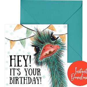 Funny Emu Birthday Card, Printable Ostrich Celebration Card, Humorous ...