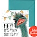Funny Emu Birthday Card, Printable Ostrich Celebration Card, Humorous ...