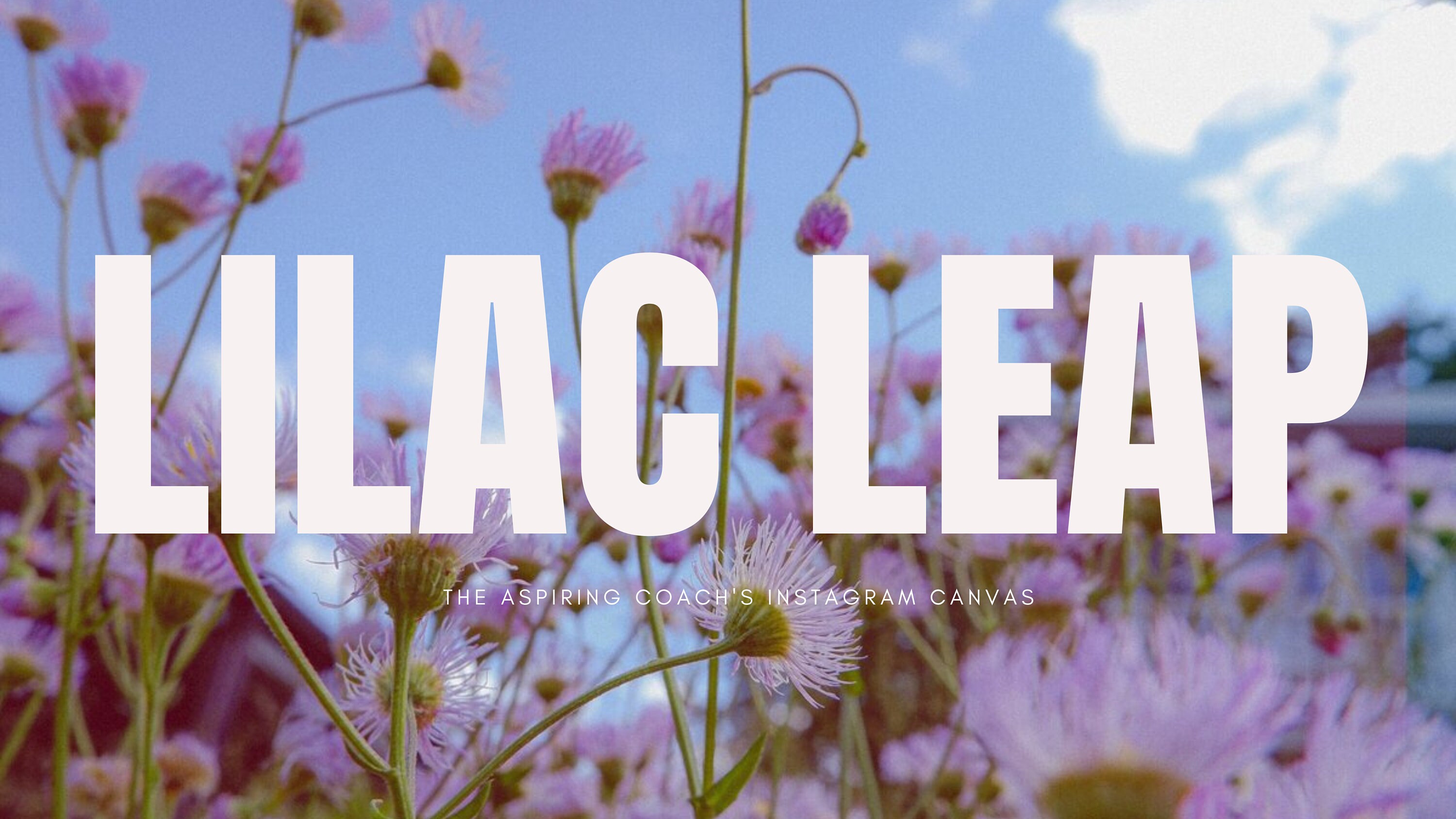 20 Bold Instagram Templates Creative Instagram Templates Instagram ...