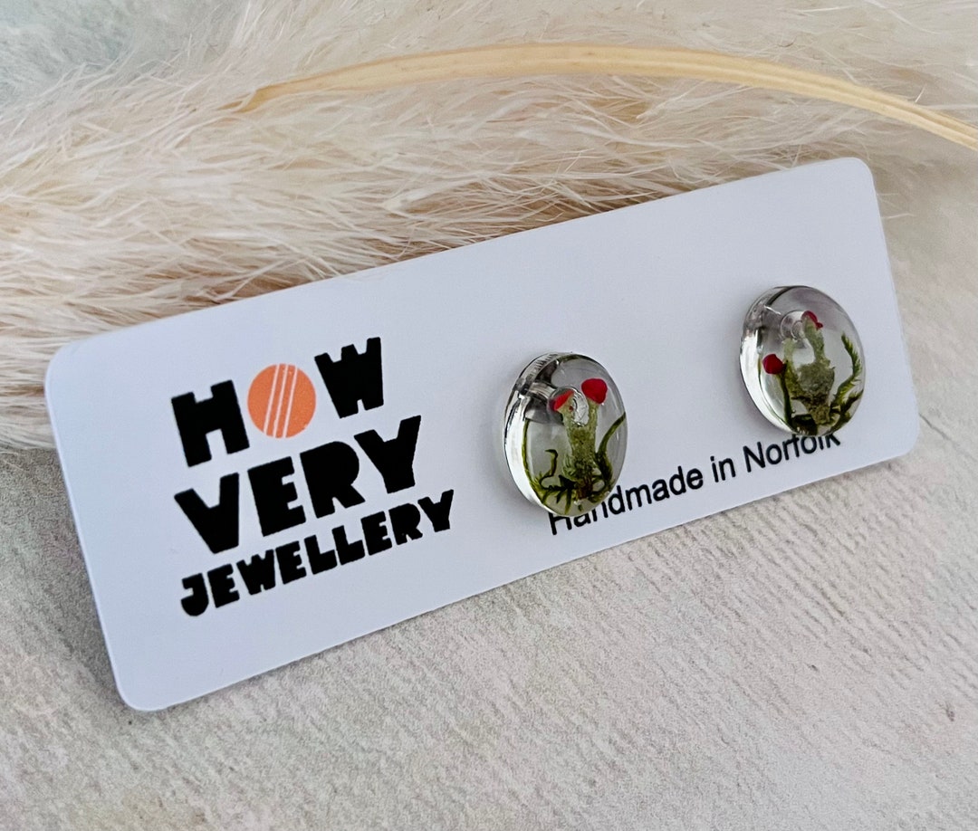 Real British Soldier Lichen Oval Stud Earrings, Fairycore Earrings ...