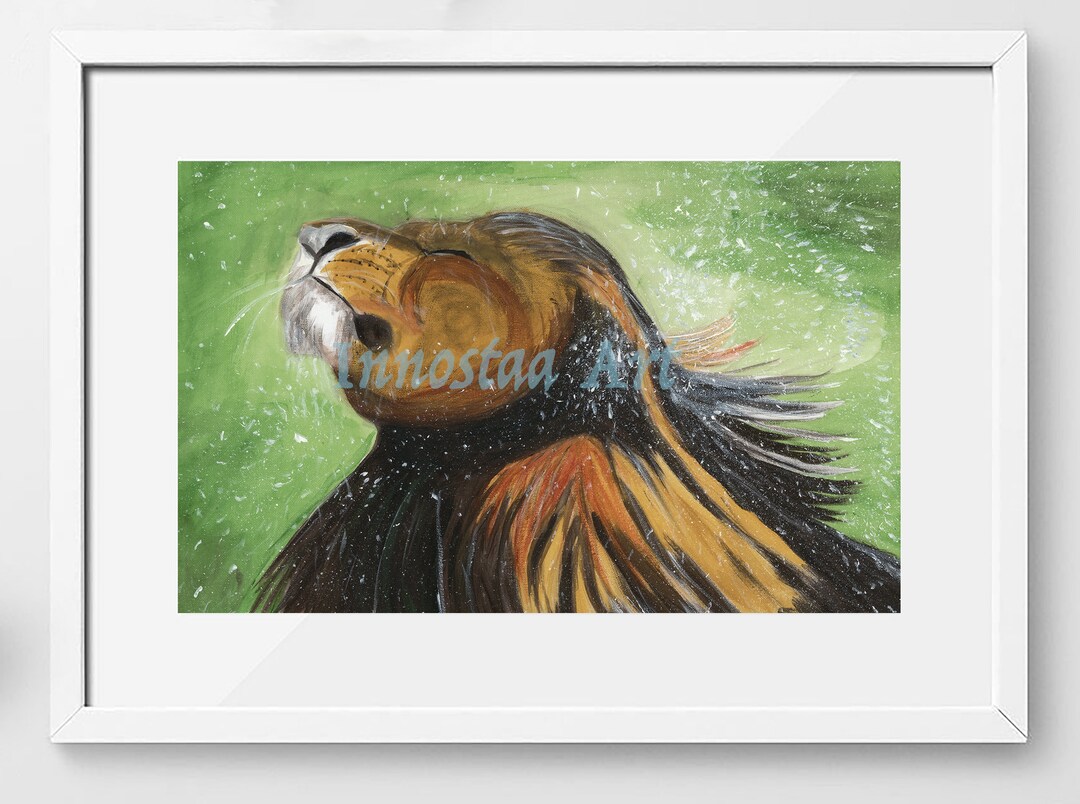 Lion - Aslan Shaking Water off - Original Acrylic Print - Etsy