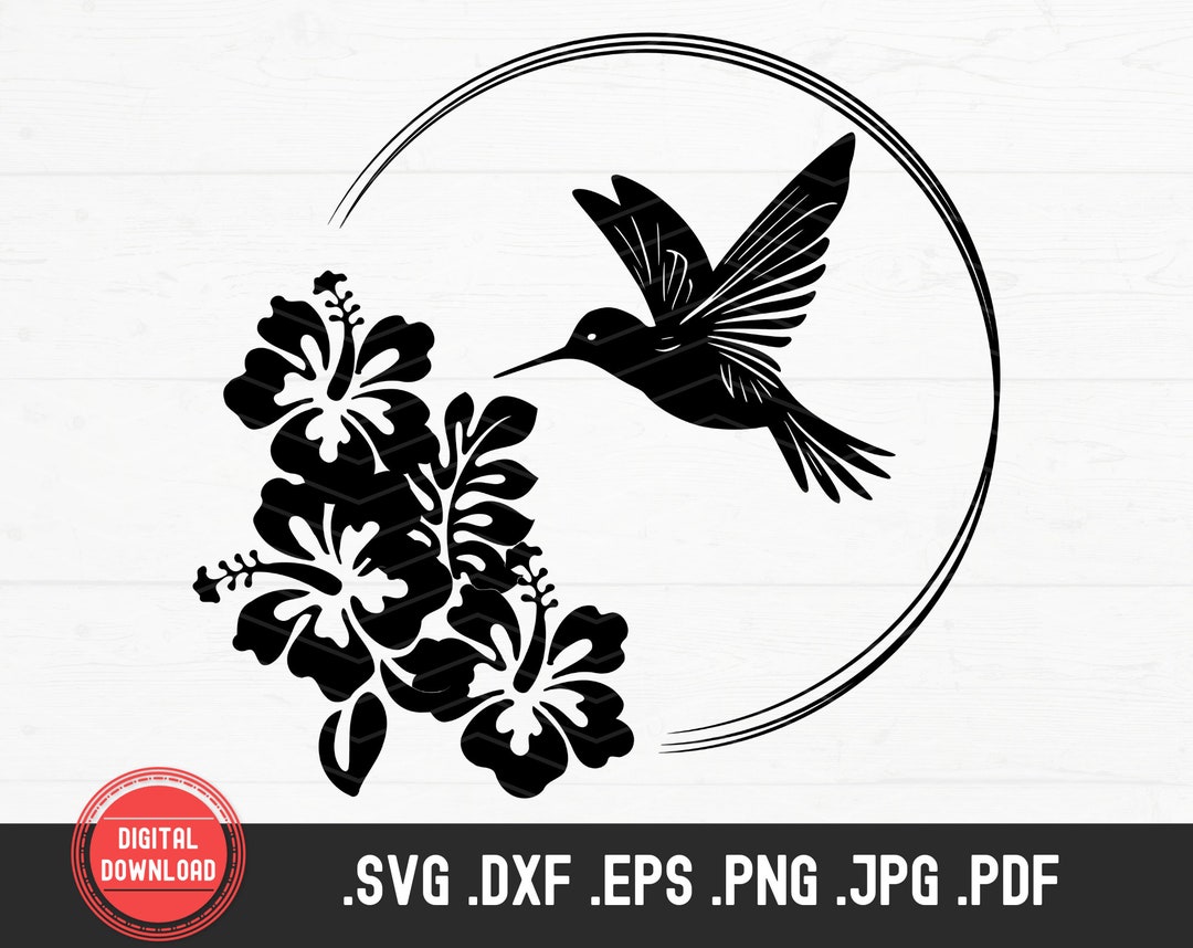 Colibrí SVG, flores hawaianas svg, hibisco colibrí pájaro clipart ...