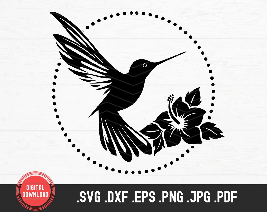 Colibrí SVG, flores hawaianas svg, hibisco colibrí pájaro clipart ...