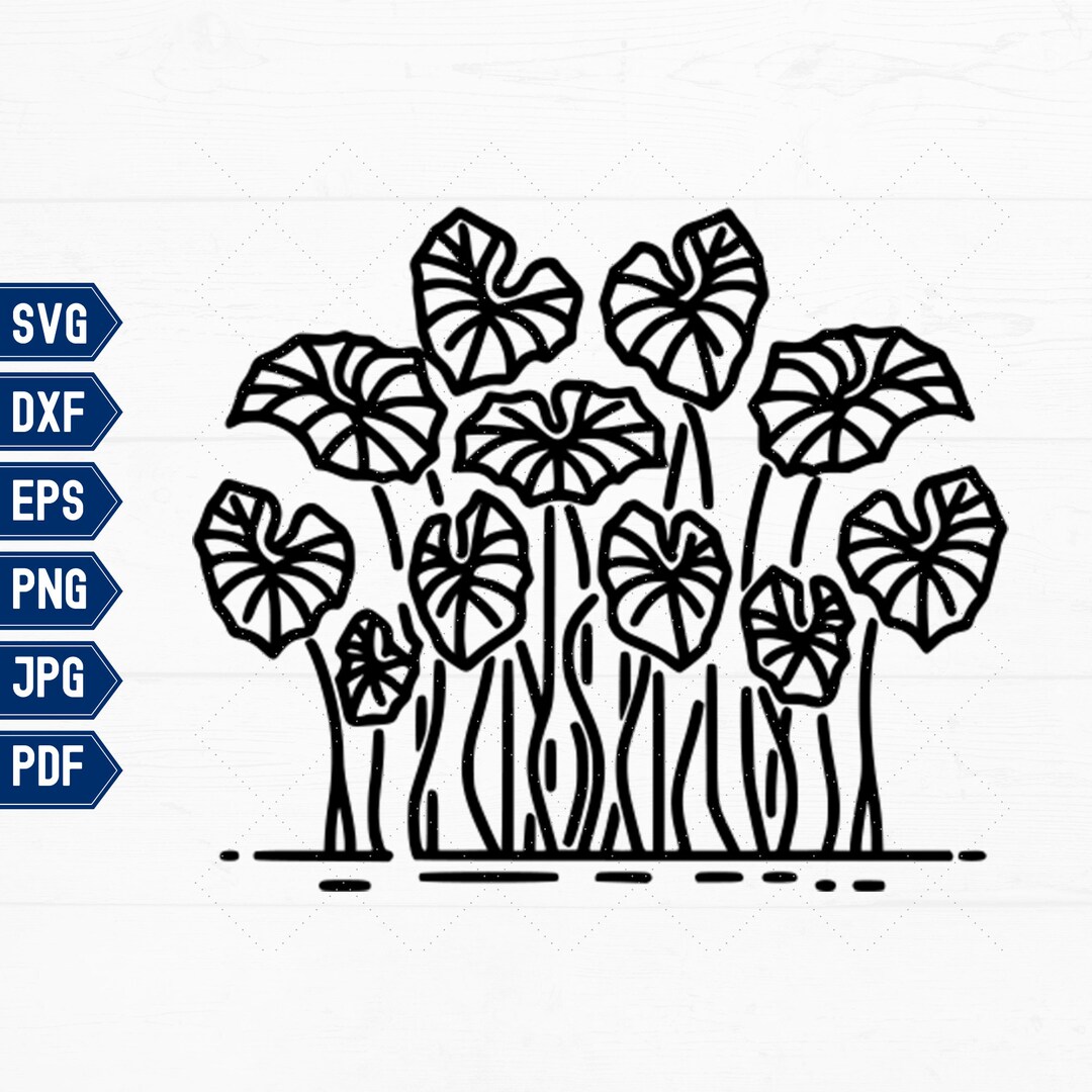 Hand Drawn Kalo Plants SVG Hawaiian Taro Clipart Tropical Kalo Leaf ...