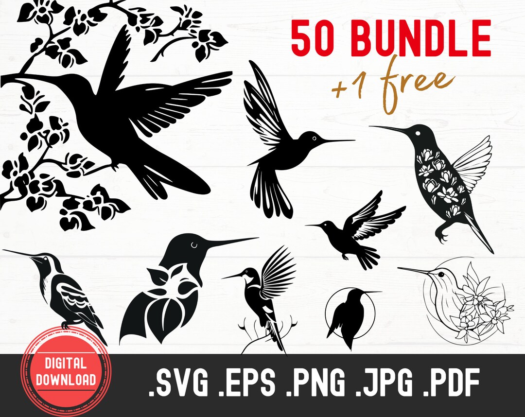 Hummingbird Svg File 50 Bundle, Hummingbird Clipart, Hummingbird Vector ...