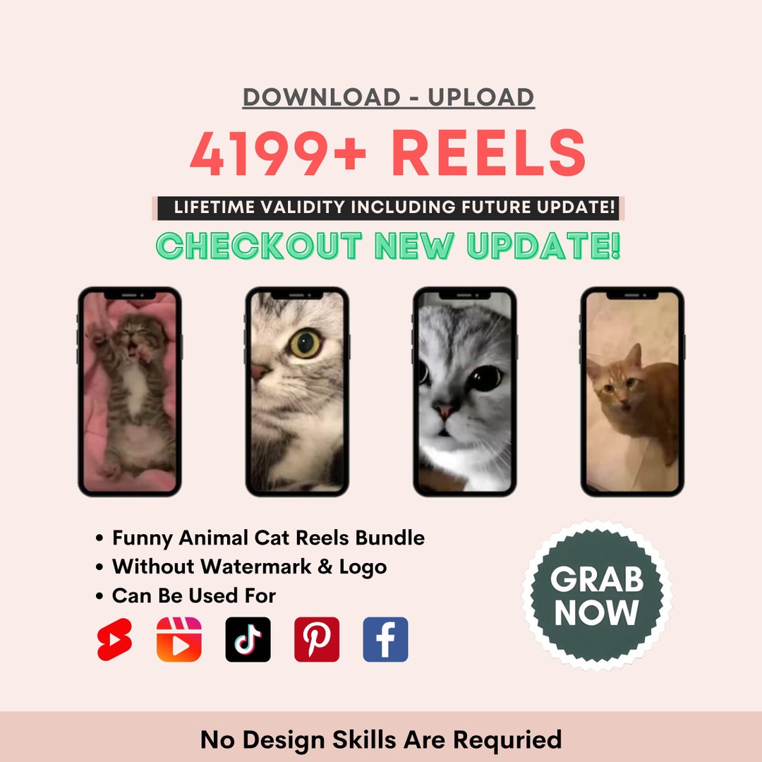 4100+ Funny Cat Reels Bundle | Viral Funny Cat Reels | Viral Pet Video ...