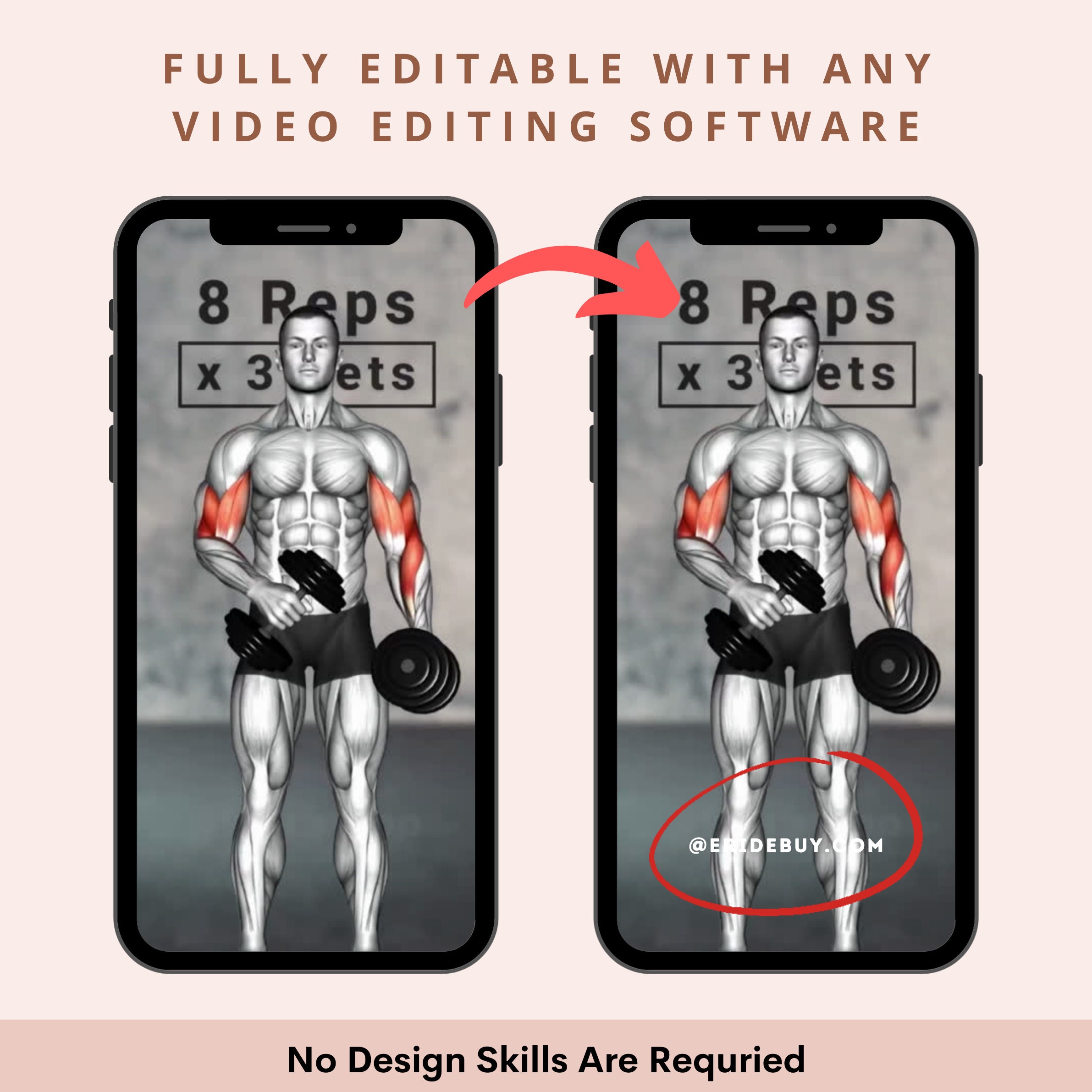 3D Workout Reels | 3D Gym Exercise Animations | 3D Anatomy Exercise ...