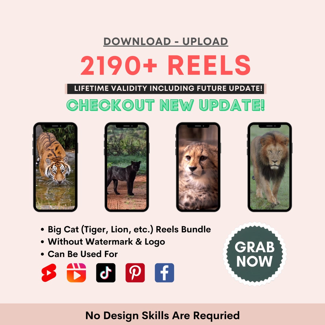 Mega Animal Big Cat Reel Bundle Like Tiger, Lion, Cheetah Etc. Youtube ...