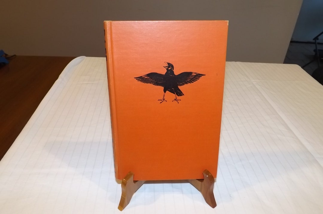 1941 Raff the Jungle Bird "the Story of Our Talking Mynah" by Zetta and ...