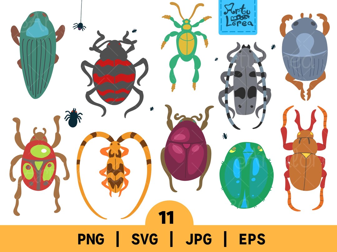 Bugs Clipart Bundle, Vector, Insect Designs Png SVG JPG EPS, Nature ...