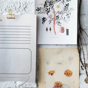 Blank 30 Day Challenge + Fillable Notes Page, Printable Goal Tracker ...