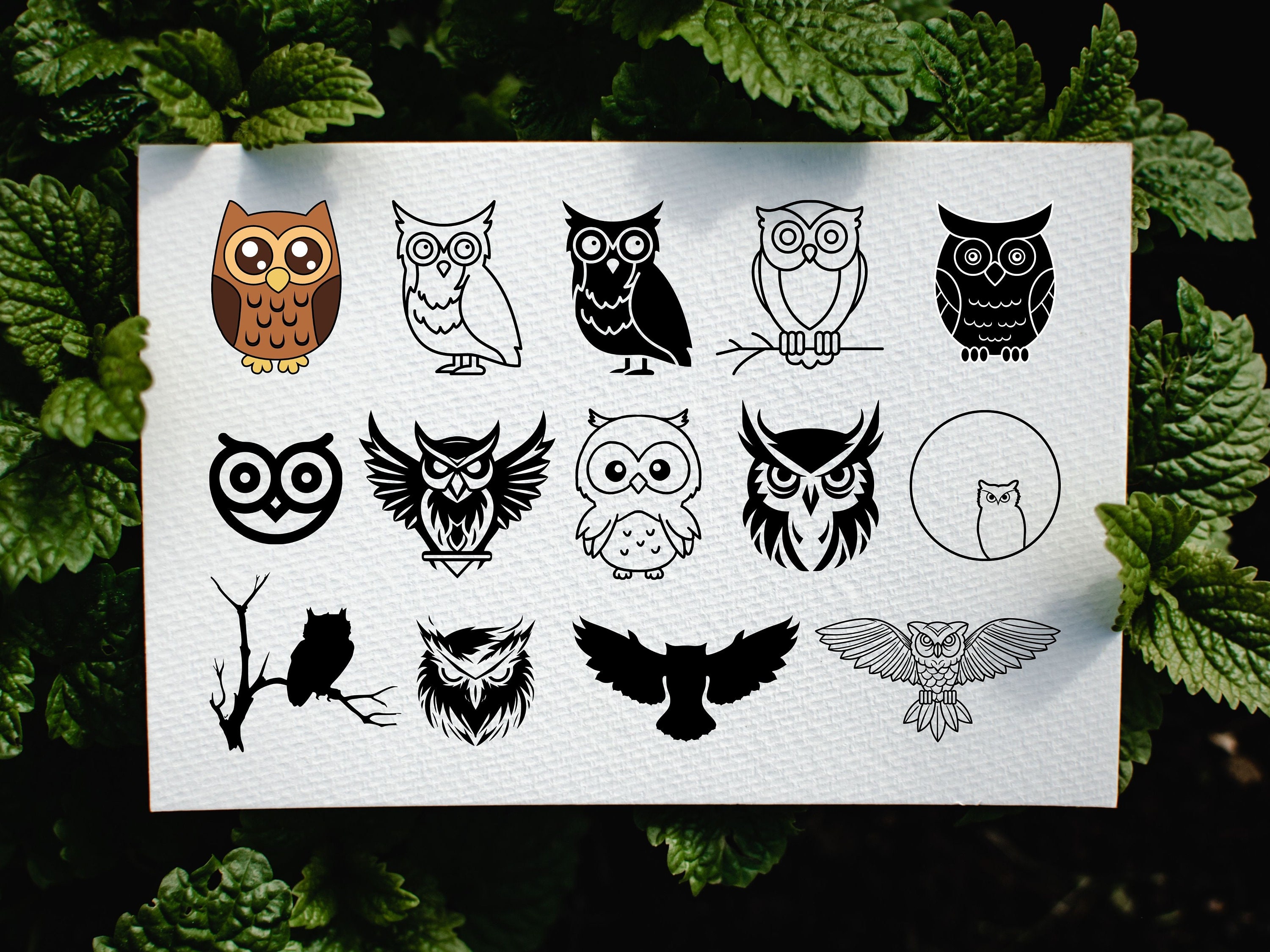 Owl SVG Bundle, Owl SVG, Birds SVG Bundle, Owl Silhouette Svg, Owl ...