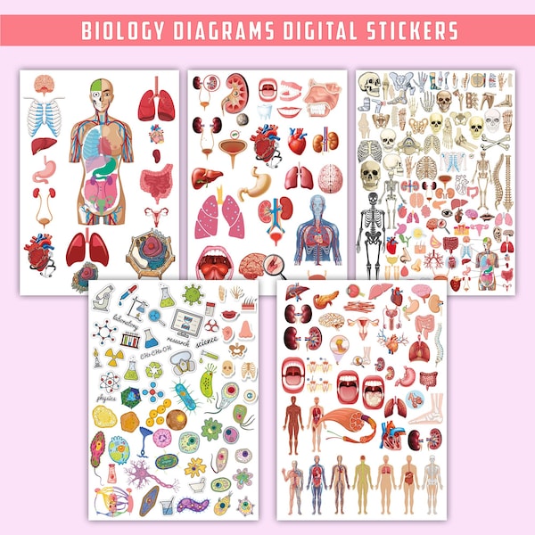 Body Sticker - Etsy