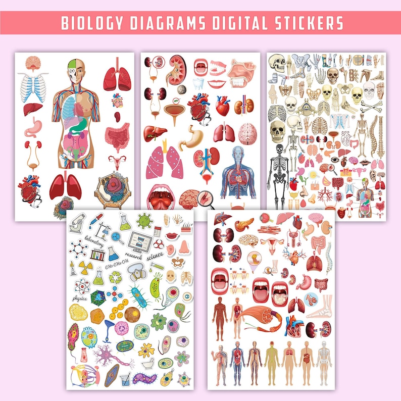 Biology & Anatomy Digital Stickers Biology Stickers for - Etsy