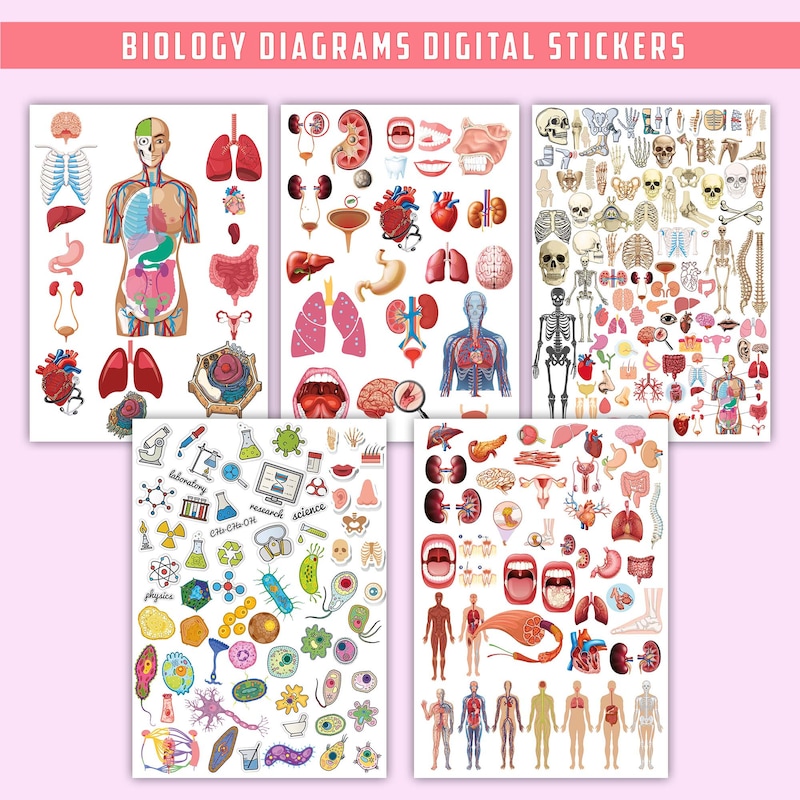 Body Sticker - Etsy
