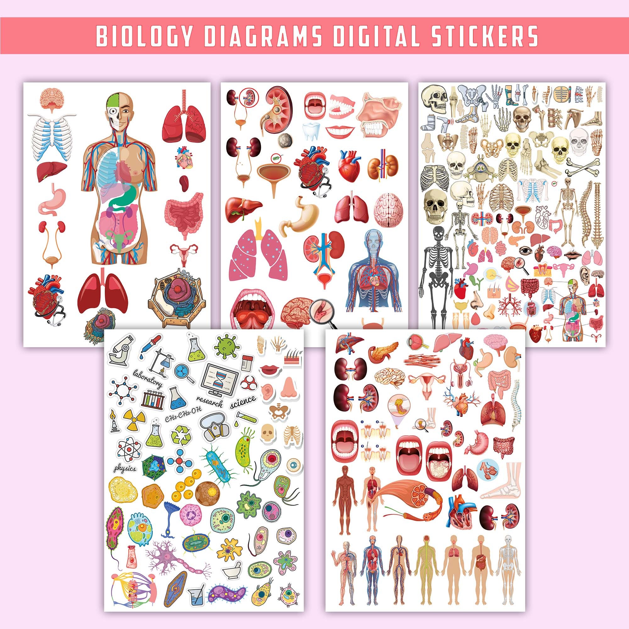 Biology & Anatomy Digital Stickers Biology Stickers for - Etsy