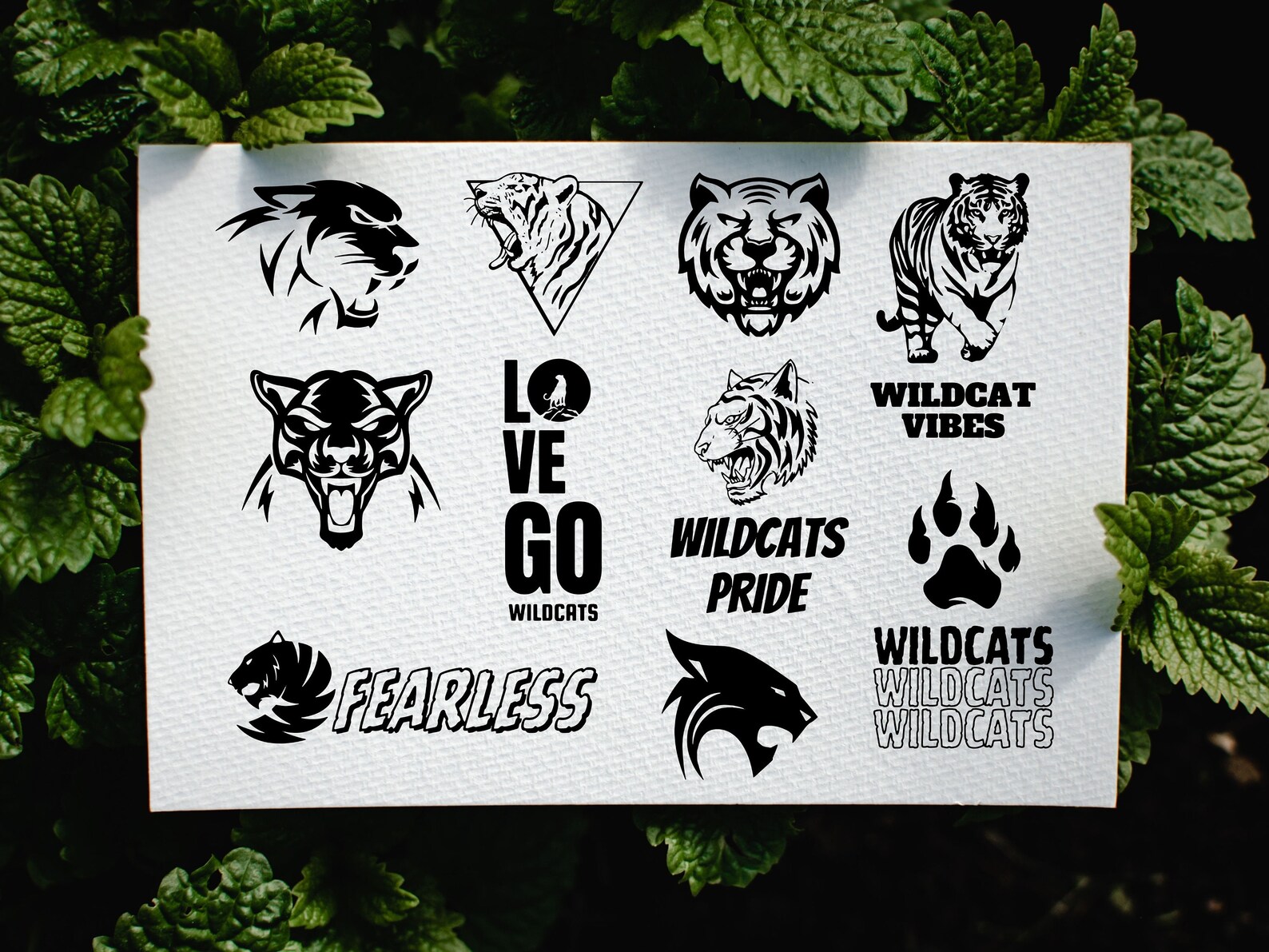 Wildcats Svg Bundle, Wildcats Svg, Wildcat Svg, Wildcats, Wildcats Png ...