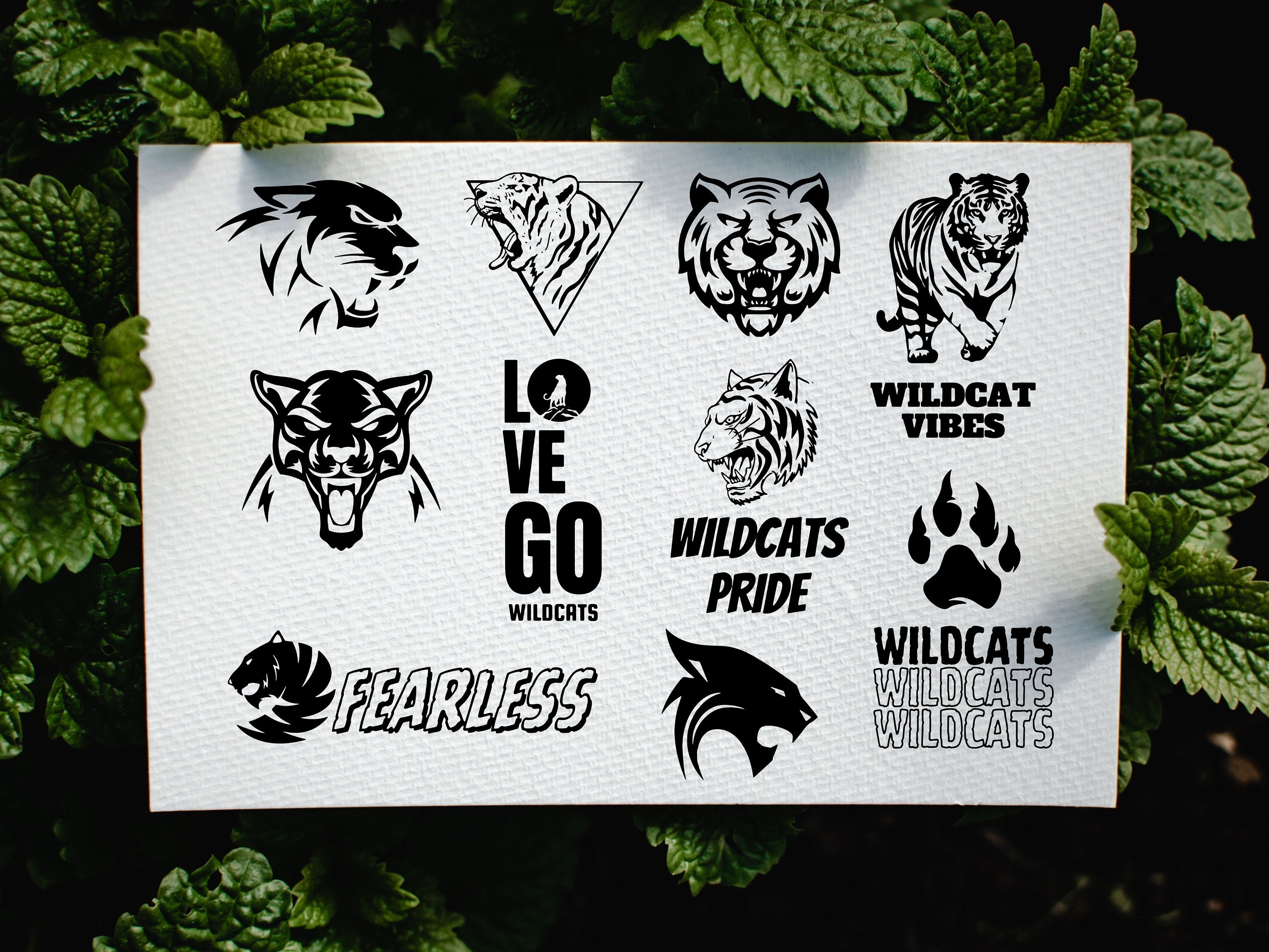 Wildcats Svg Bundle, Wildcats Svg, Wildcat Svg, Wildcats, Wildcats Png ...