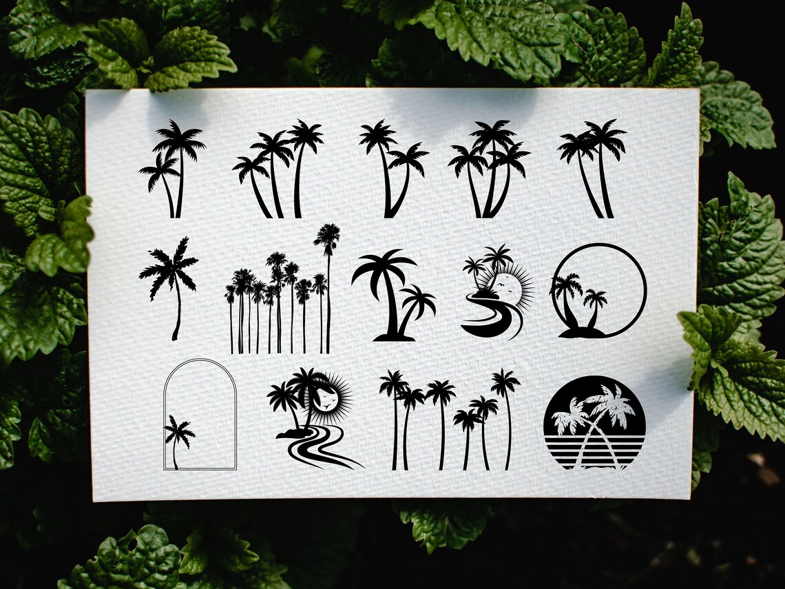 Palm Tree SVG Bundle, Palm Tree PNG, Palm Trees, Palm Tree Stickers, Tree Svg, Palm Tree Wall ...