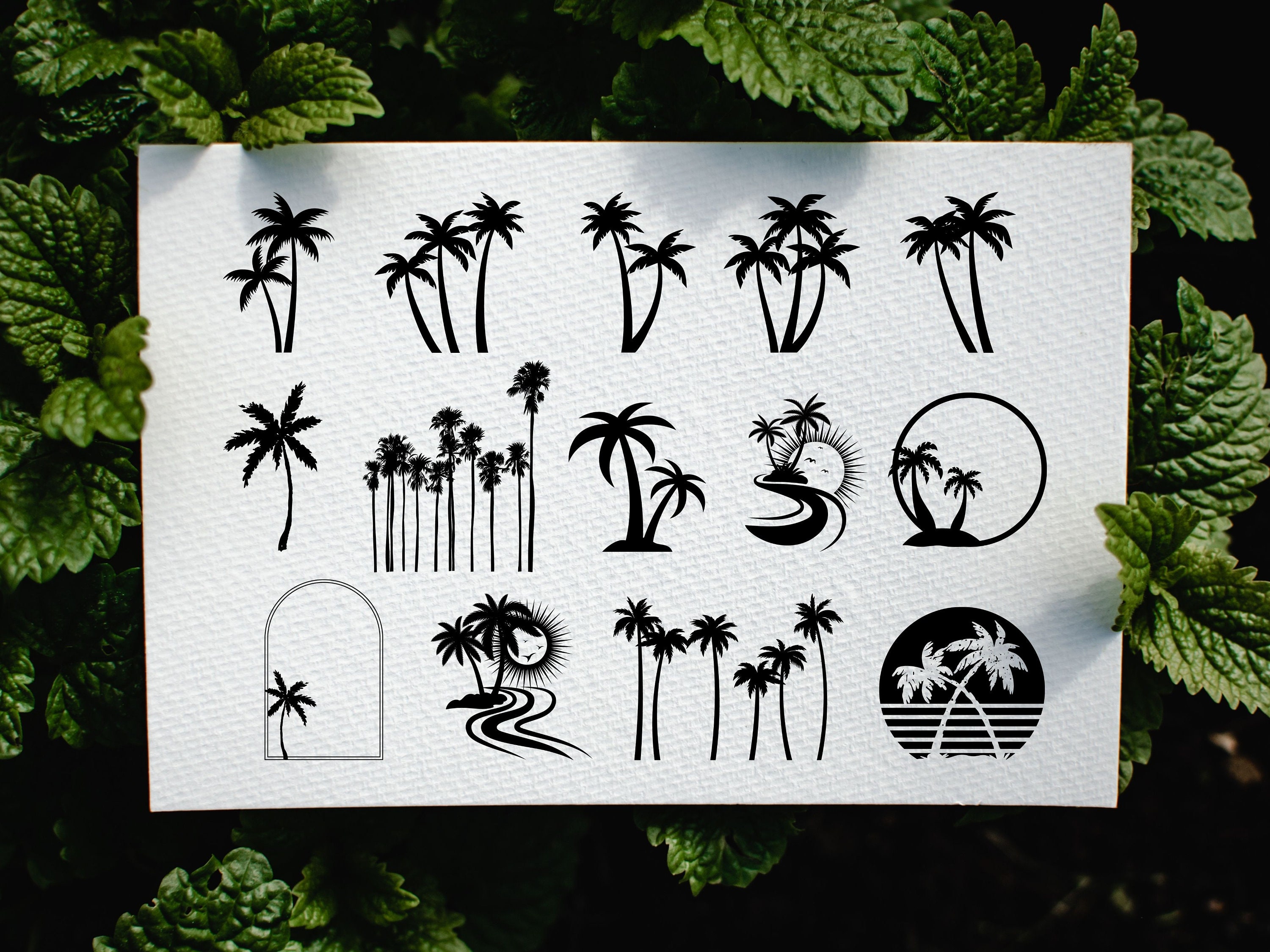 Palm Tree SVG Bundle, Palm Tree PNG, Palm Trees, Palm Tree Stickers ...