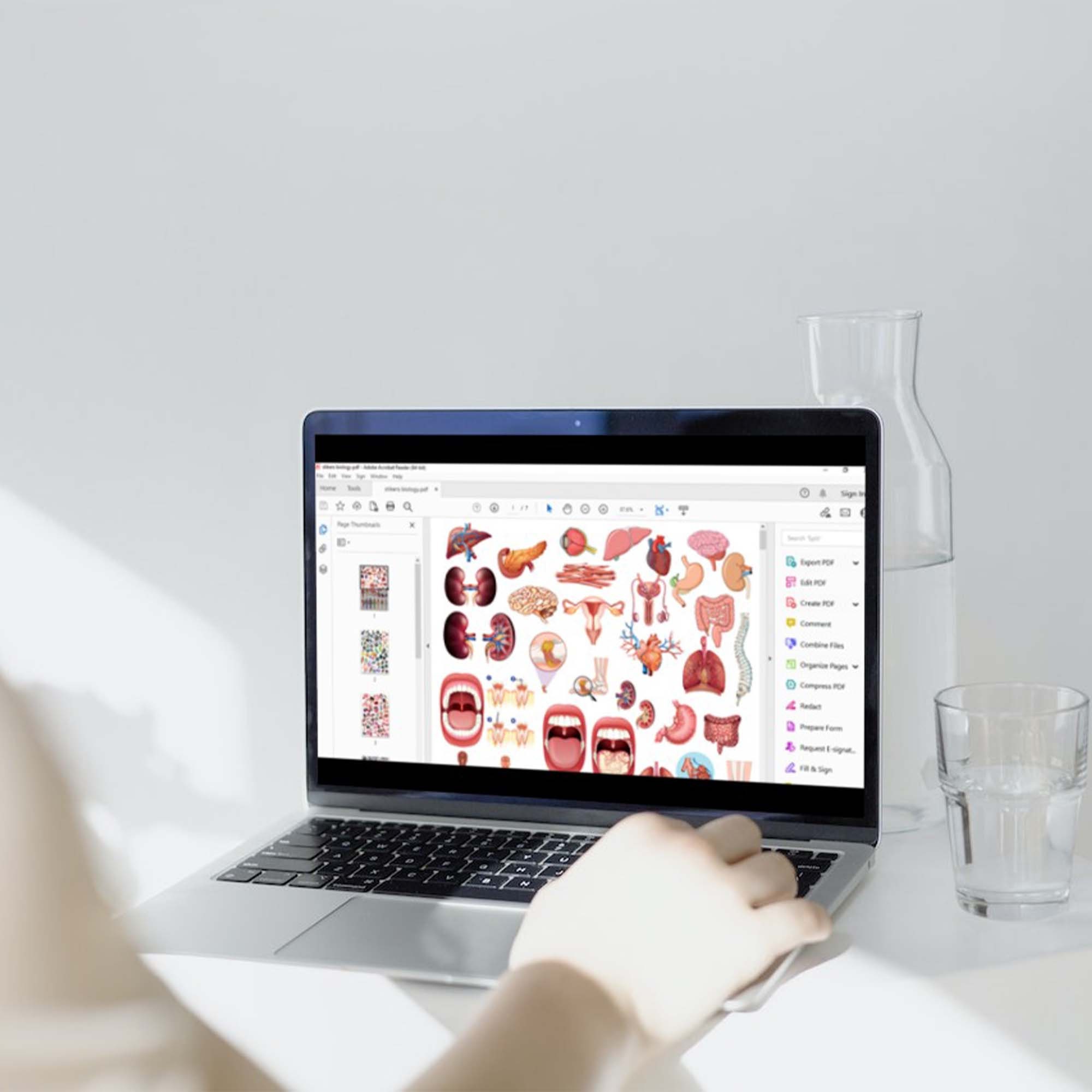 Biology & Anatomy Digital Stickers Biology Stickers for - Etsy