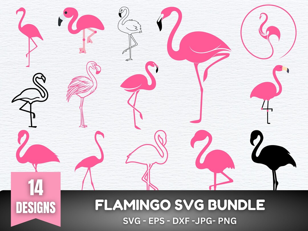 Flamingo Svg Bundle, Flamingo Svg File, Flamingo Quotes, Flamingo Png ...