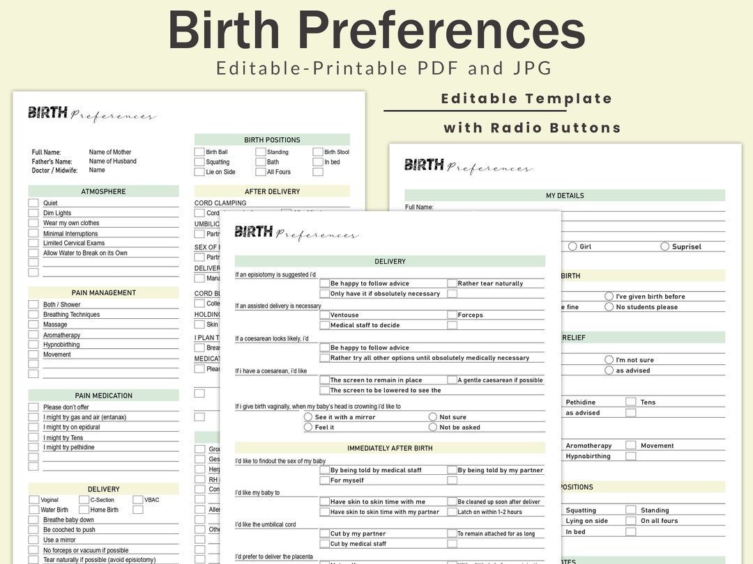 Editable Birth Plan Template, Editable Birth Plan, Printable Birth Plan ...